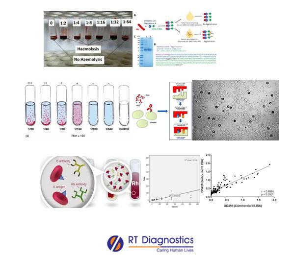 Rh Antibody Titre | RT Diagnostics